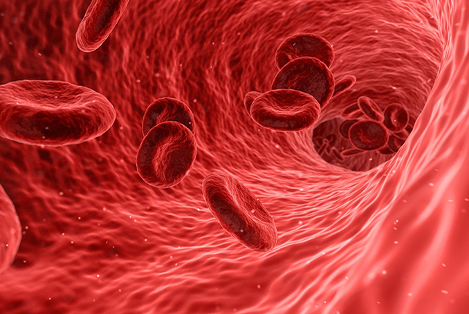 Hémovigilance - Textes réglementaires | Agence régionale de santé ...